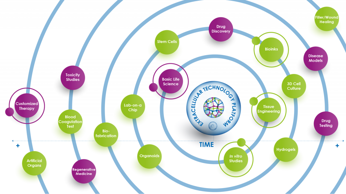 THT Biomaterials - Humanizing Tissue Engineering